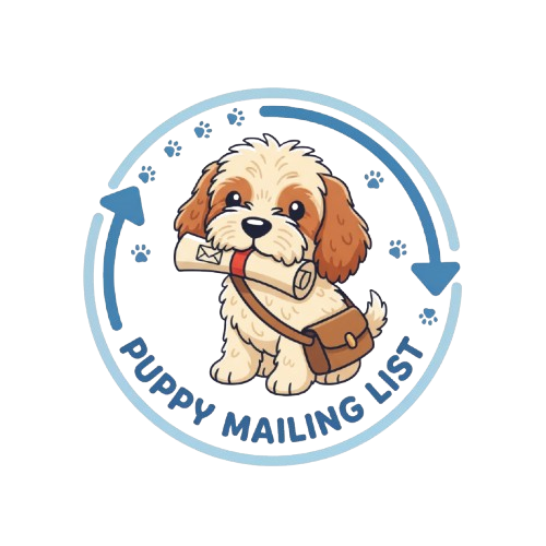 ABCPuppy — Maltipoo & Cavapoo Puppies in Donna, TX